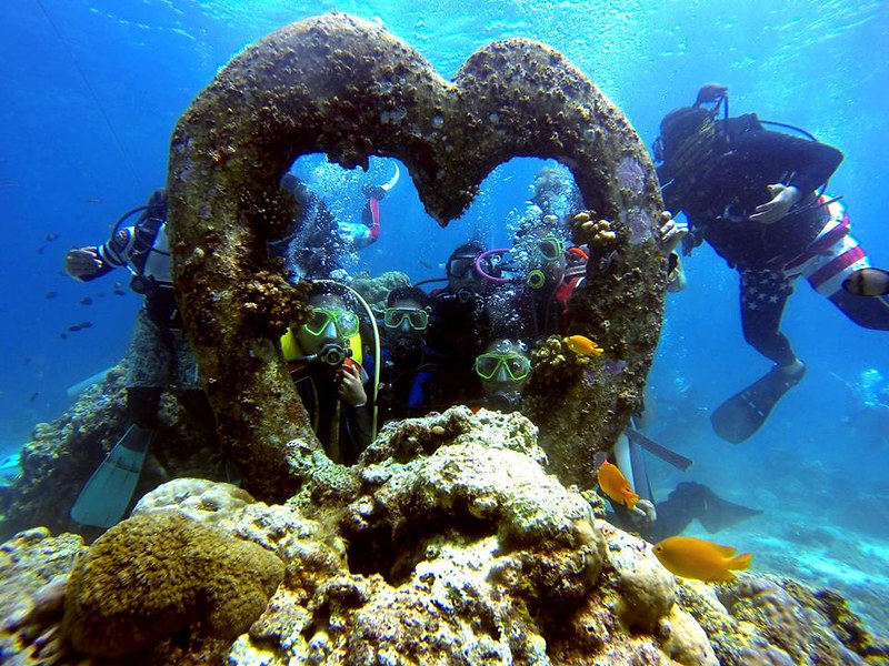 Dive into English: The Ultimate Scuba and Language Adventure in Cebu ...